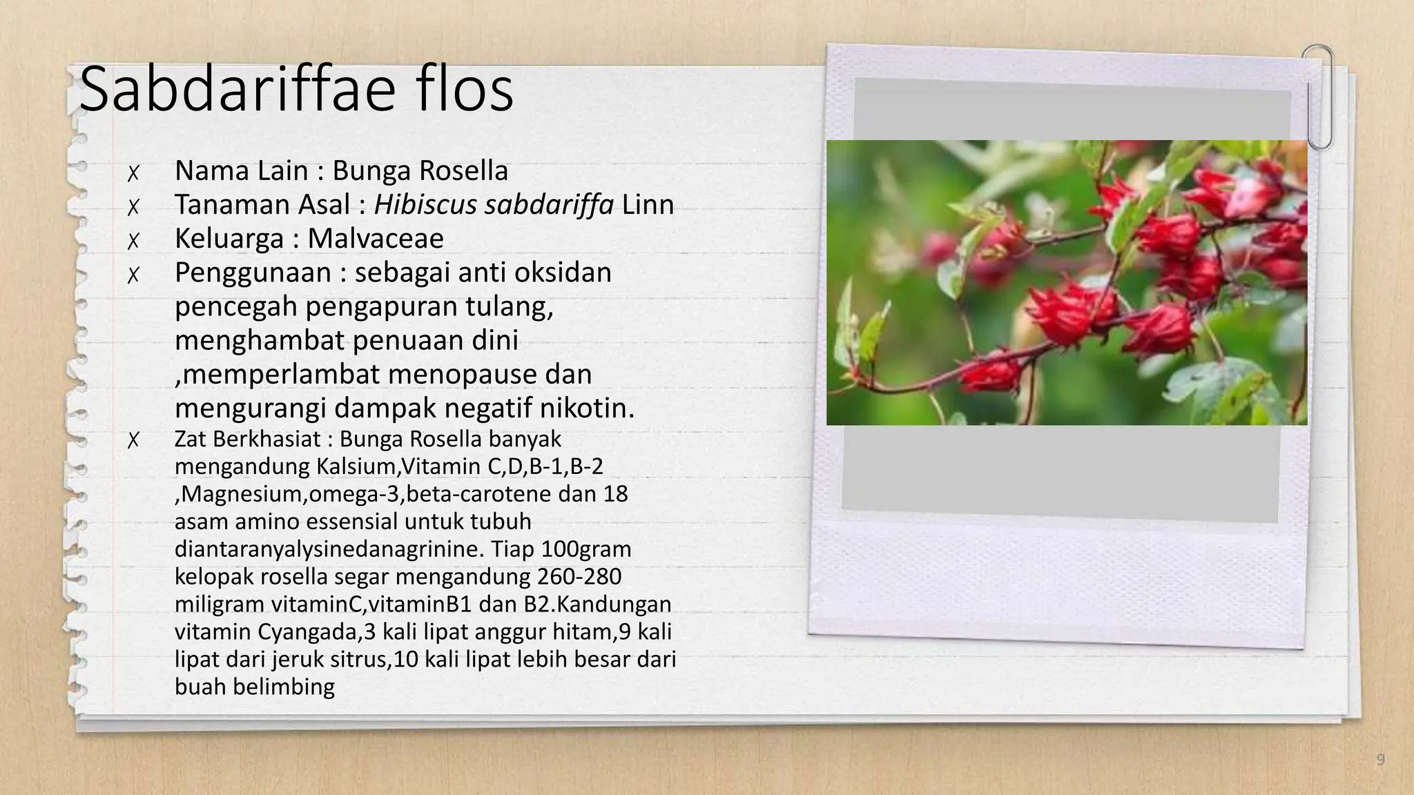 materi 1 Farmakognosi kelas XI F (Simplisia FLOS).pptx