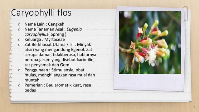 materi 1 Farmakognosi kelas XI F (Simplisia FLOS).pptx