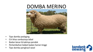 MATERI 1 Jenis Kambing Domba.pdf
