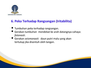 MATERI 1_ Modul 1 dan 2 Konsep Dasar IPA SD jadi.pptx