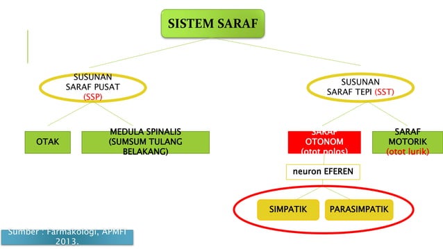Materi 1 Farmakologi Kelas XI Farmasi "obat sistem saraf otonom" | PPTX