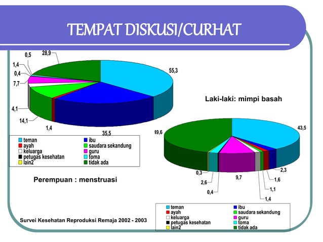 Materi 1 Pedoman Pelayanan Kes Peduli Remaja PKPR.ppt