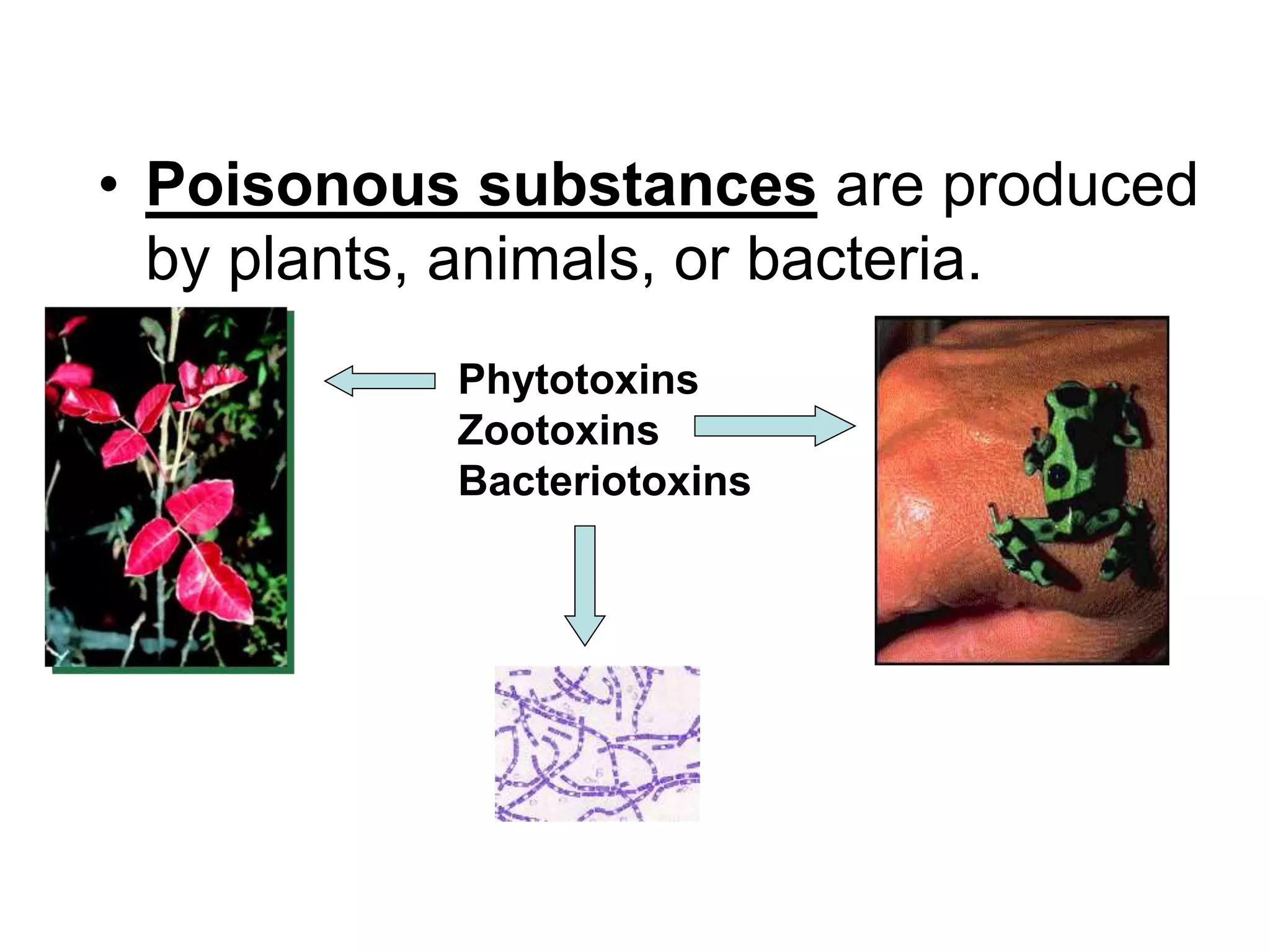 MATERI 1, PENGERTIAN TOKSIKOLOGI KLINIK, Agus Sudrajat,S.Si,M,T (1).ppt