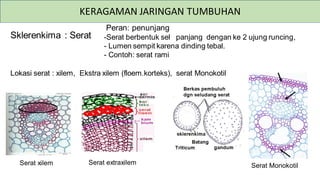Materi 1 Sel dan Jaringan Tumbuhan (1).pdf
