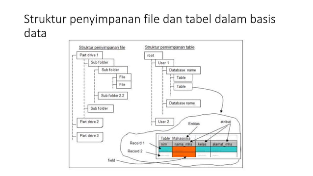 Materi struktur hirarki basis data | PPTX