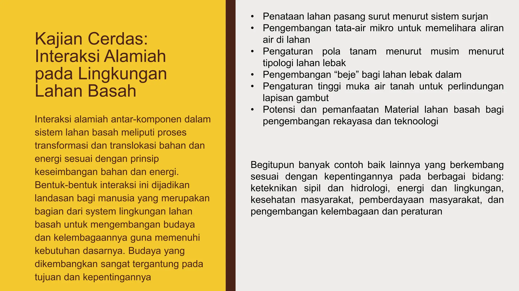 Materi penghandat lingkungan lahan basah.pptx