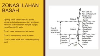 Materi penghandat lingkungan lahan basah.pptx
