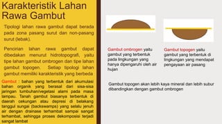 Materi penghandat lingkungan lahan basah.pptx