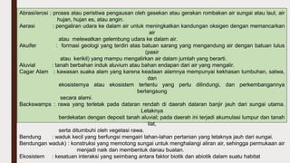 Materi penghandat lingkungan lahan basah.pptx