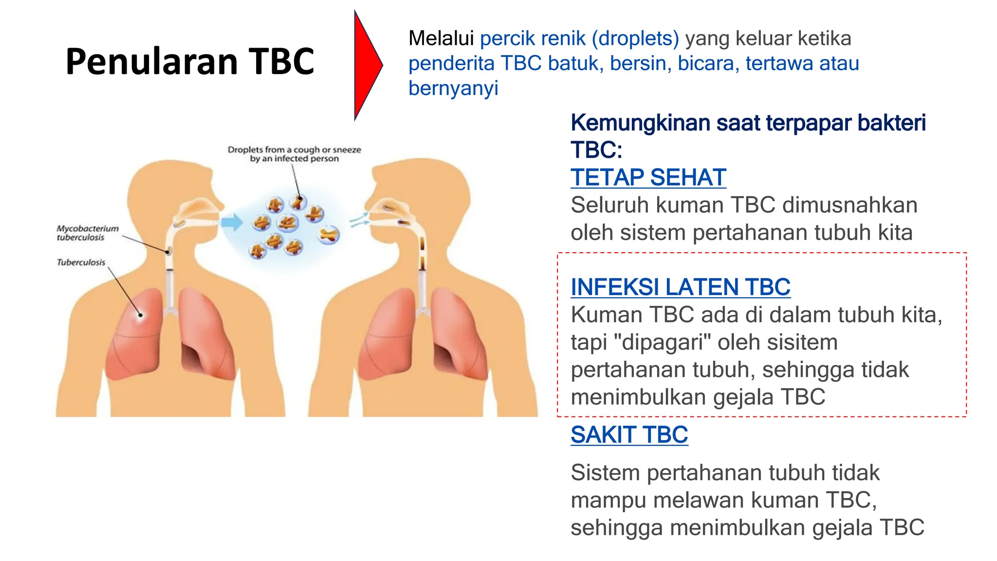 Materi 2 - Prof Andang - TBC, Bahaya dan Pencegahannya.pdf