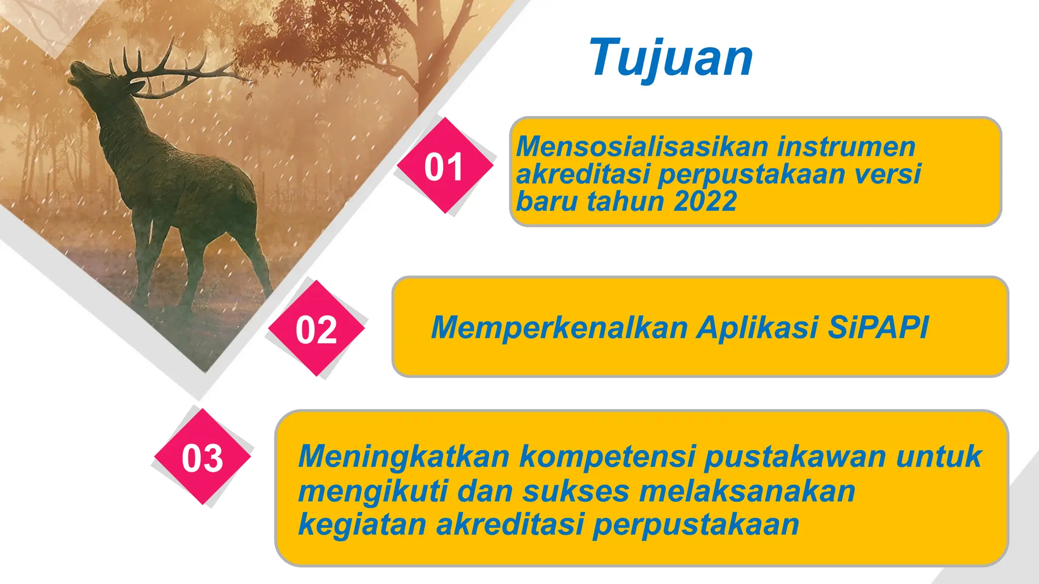 Materi 2 Snp Instrumen Dan Bukti Fisik Sipapi Pdf