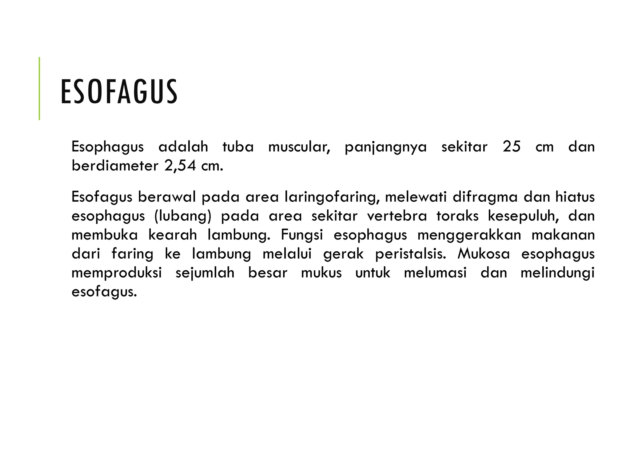 MATERI 2 FISIOLOGI SISTEM PENCERNAAN.pptx