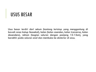 MATERI 2 FISIOLOGI SISTEM PENCERNAAN.pptx