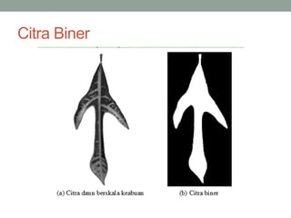 Materi 2 mengenal jenis citra | PDF