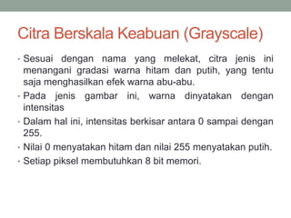 Materi 2 mengenal jenis citra | PDF