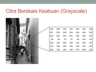 Materi 2 mengenal jenis citra | PDF