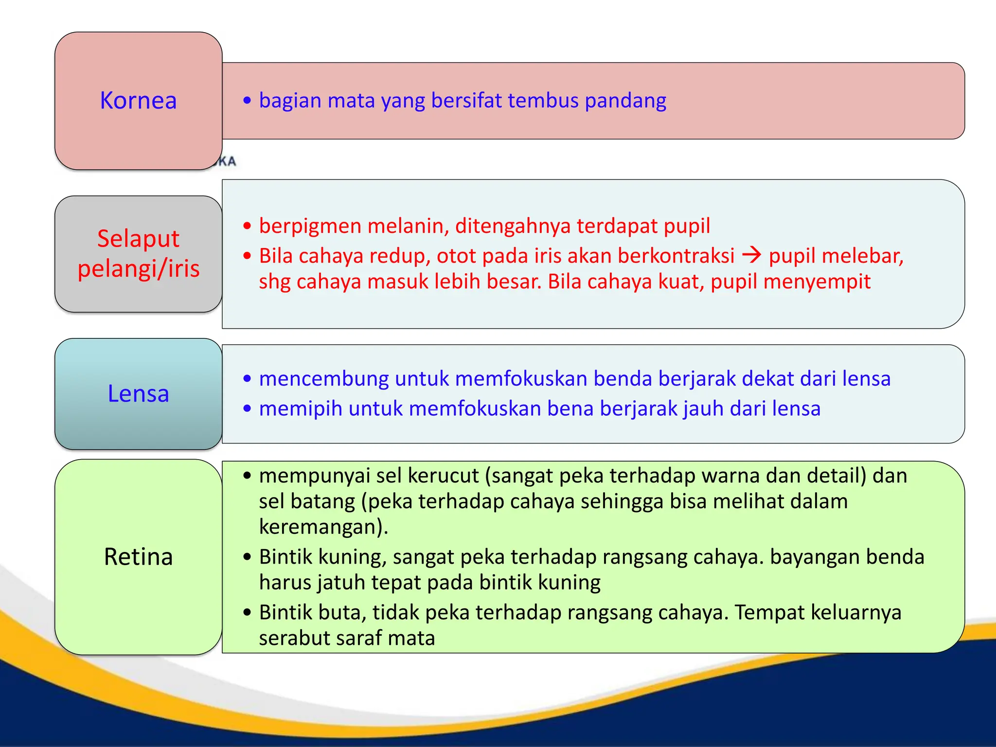 MATERI 2_ Modul 3 Konsep Dasar IPA SD_Organ Sistem Organ Tubuh.pdf