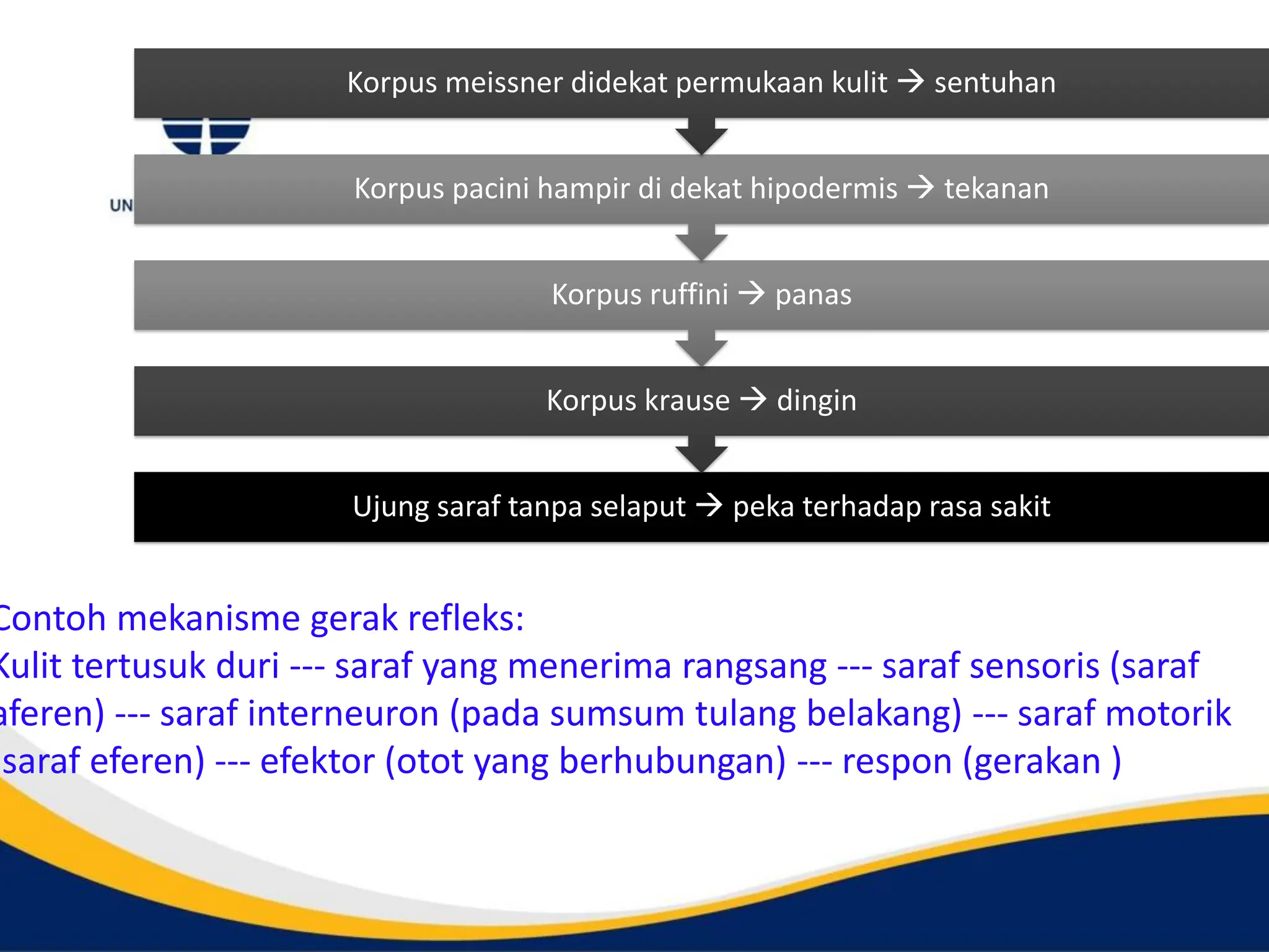 MATERI 2_ Modul 3 Konsep Dasar IPA SD_Organ Sistem Organ Tubuh.pdf