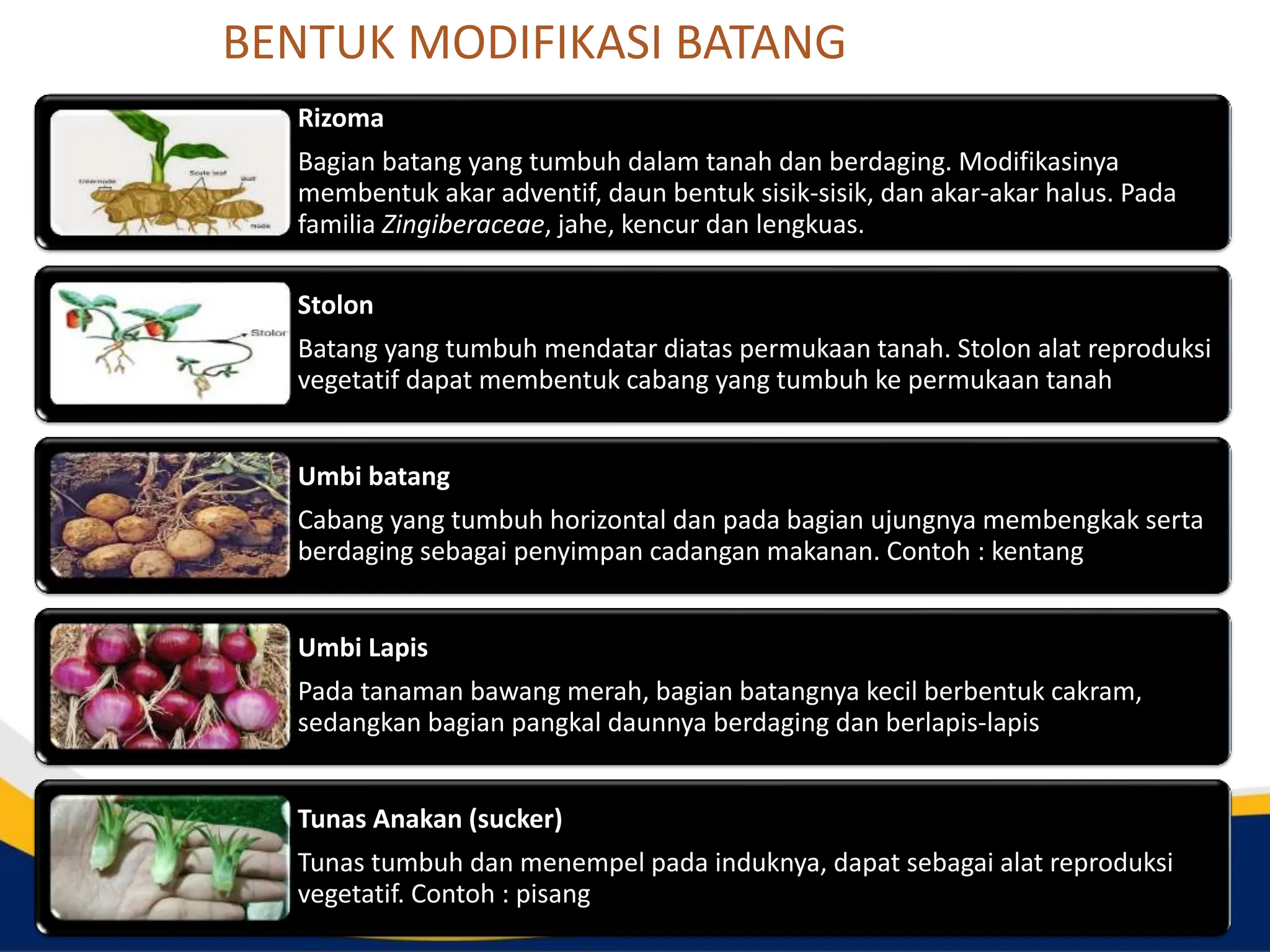 MATERI 2_ Modul 3 Konsep Dasar IPA SD_Organ Sistem Organ Tubuh.pdf