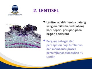 MATERI 2_ Modul 3 Konsep Dasar IPA SD_Organ Sistem Organ Tubuh.pdf