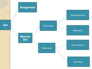 Materi 2 Ruang lingkup sel dan pembagian sel.pptx
