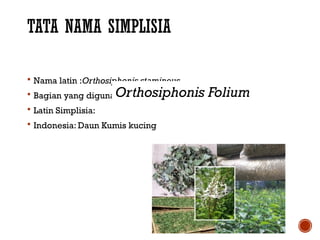 MATERI farmakognosi dasar 2 Tata nama simplisia.pptx