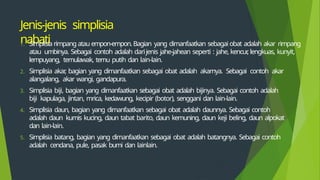 Materi 3. Pembuatan Simplisia okkkkk.pptx