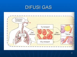 Materi 3 Anatomi fisiologi pernapasan.ppt