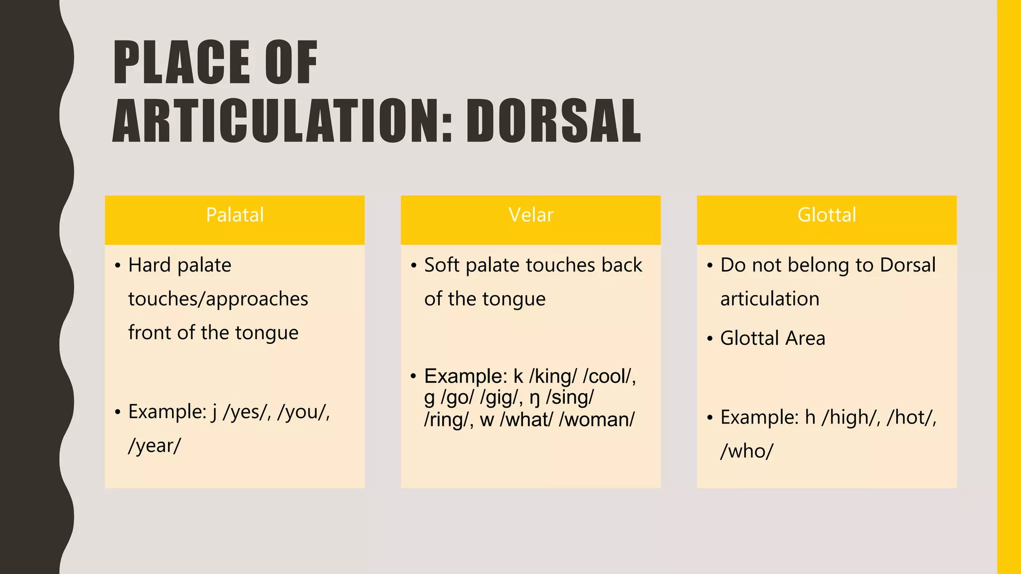 Place of Articulation of Consonants | PPTX