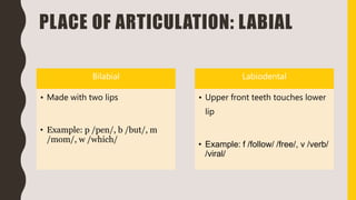Place of Articulation of Consonants | PPTX