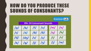 Place of Articulation of Consonants | PPTX