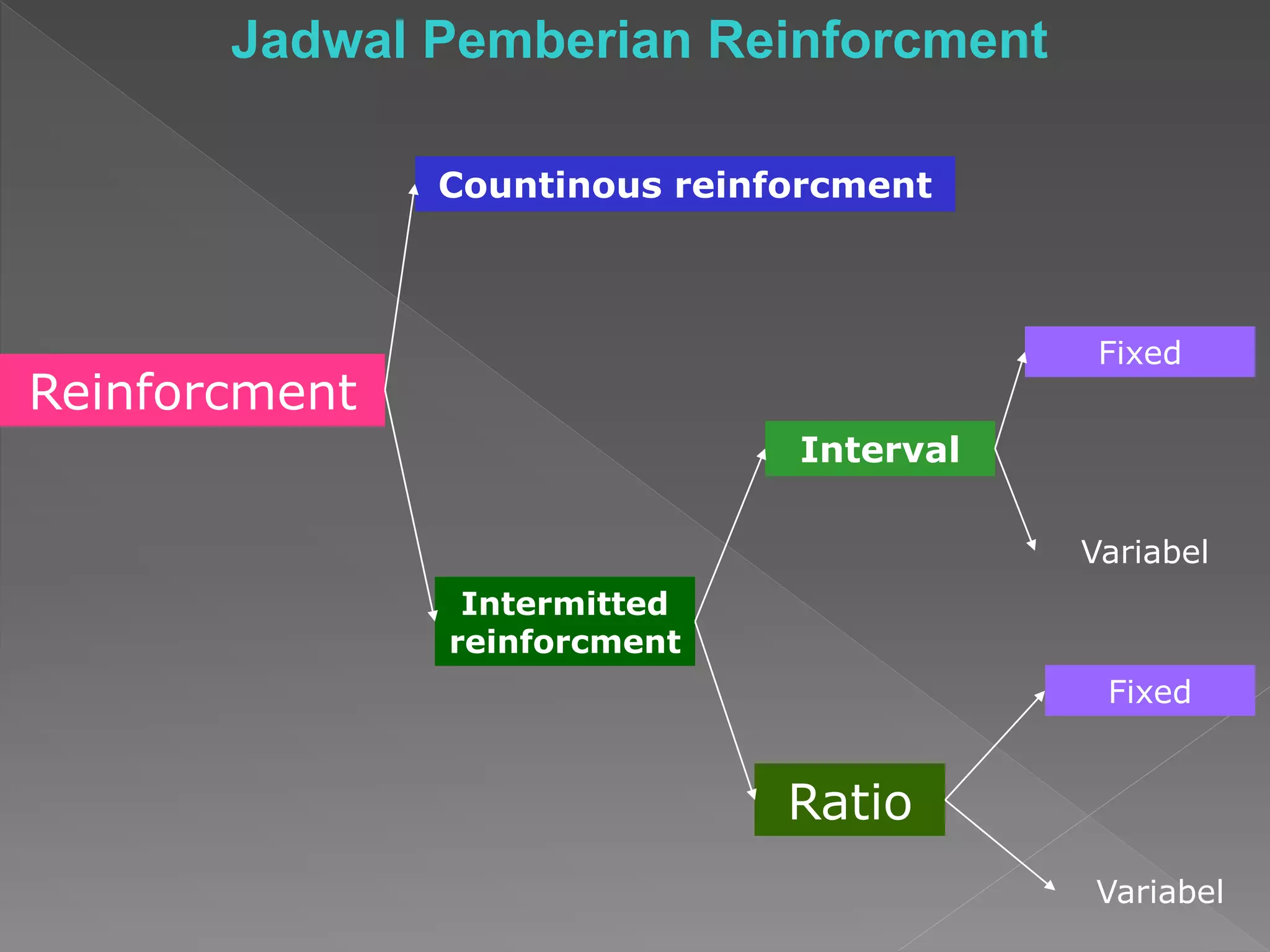 SKINNER - OPERANT CONDITIONING | PPTX