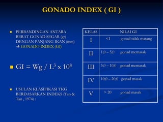 MATERI 3 TINGKAT KEMATANGAN GONAD ( TKG ).ppt