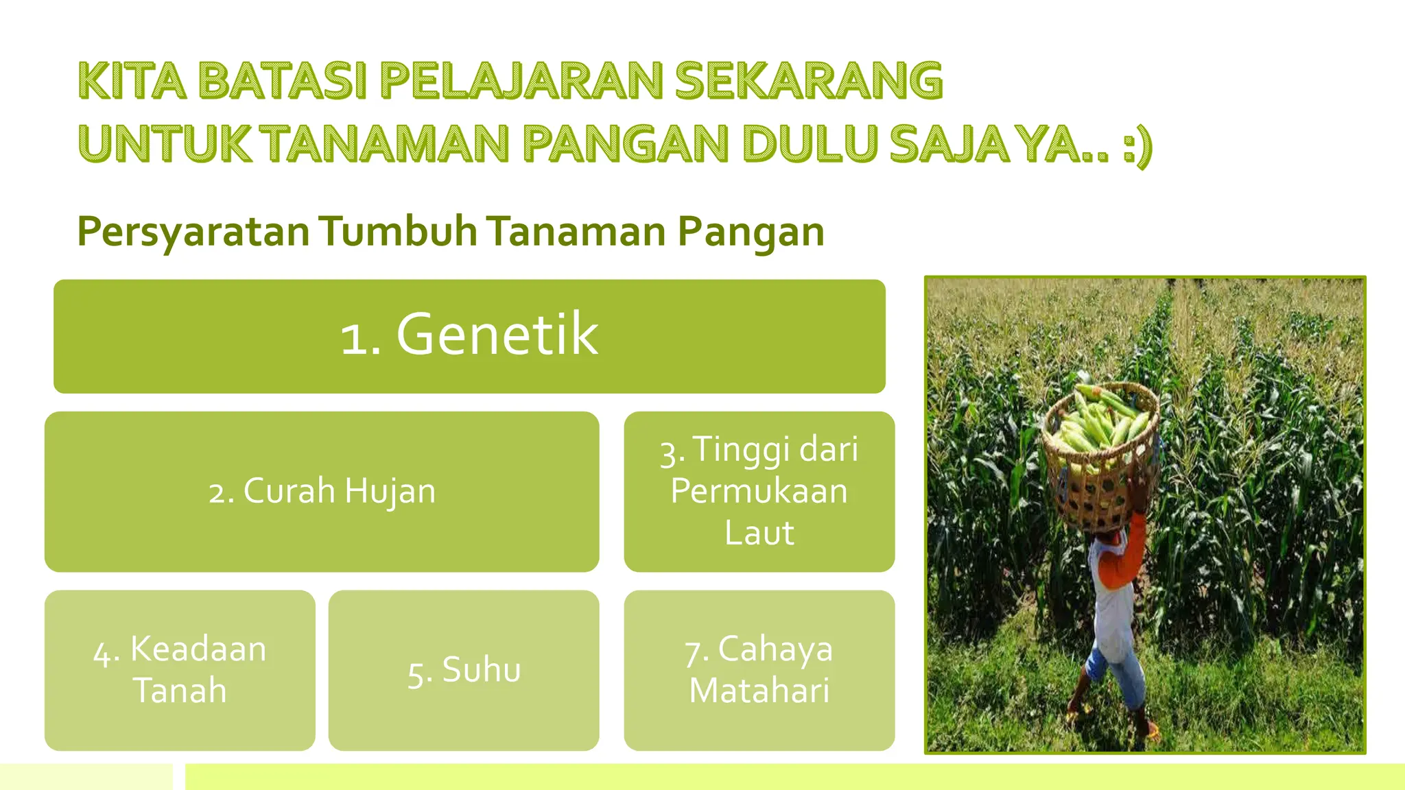 Materi 4 Budidaya Tanaman Pangan (Persiapan).pdf