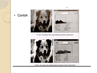 pertemuan ke - 4 Materi (HISTOGRAM).pptx