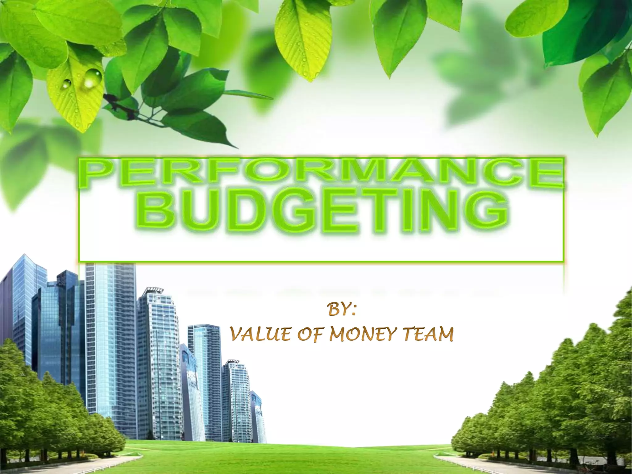 performance budgeting | PPTX