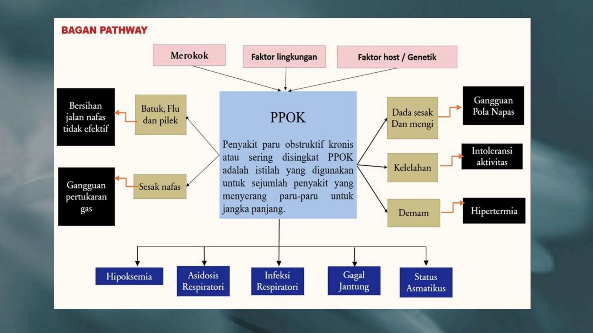 Materi 5 Askep PPOK.pptx