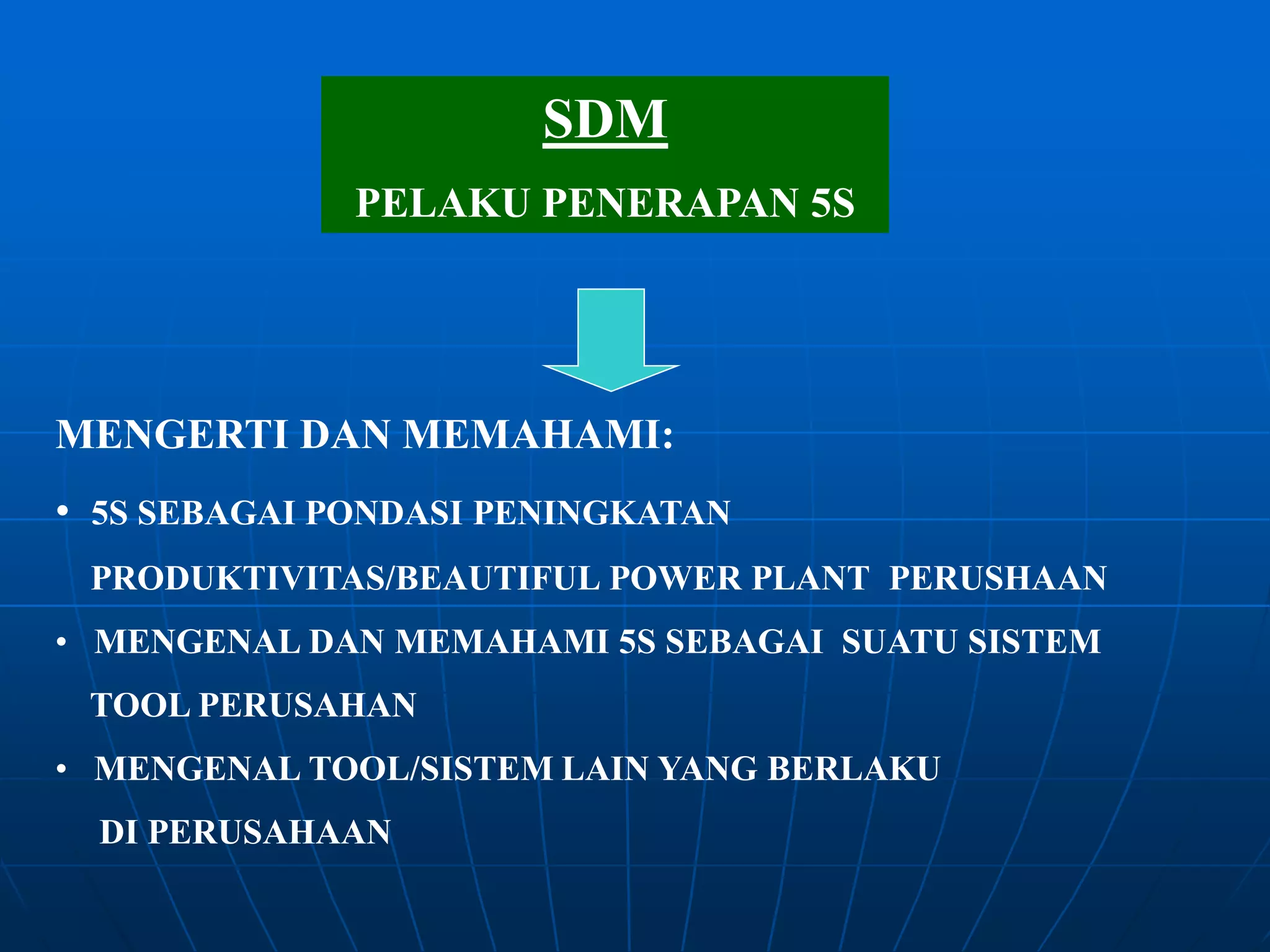 Materi 5 S (Seiri Seiton Seiso Seiketsu Shitsuke) | PDF