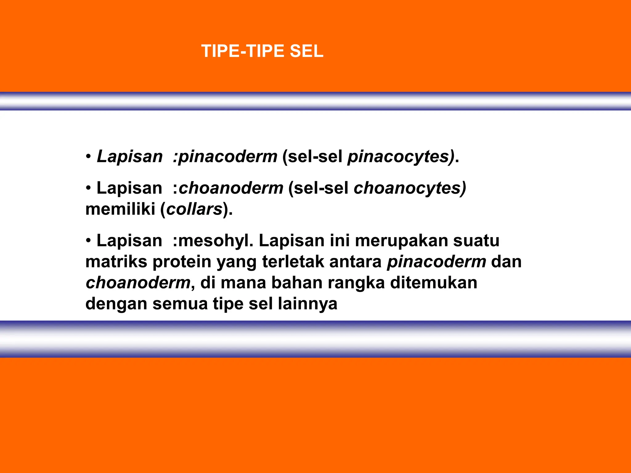 Materi tentang porifera atau sponge laut yang ada di indonesia | PDF