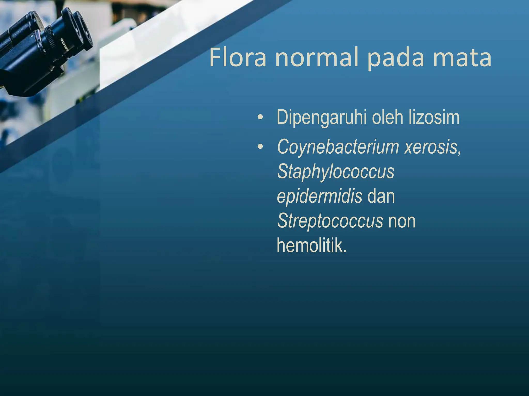 FLORA NORMAL SERTA HUBUNGAN HOSPES DENGAN LINGKUNGAN;PENGARUH MO.pptx