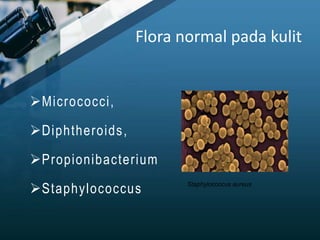 FLORA NORMAL SERTA HUBUNGAN HOSPES DENGAN LINGKUNGAN;PENGARUH MO.pptx