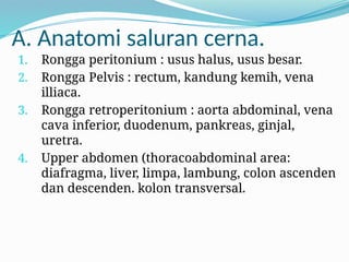 Materi 7 KGD TRAUMA ABDOMEN.pptx