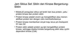 Materi Pembelahan Siklus Sel Medicineppt | PPT