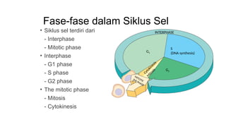 Materi Pembelahan Siklus Sel Medicineppt | PPT