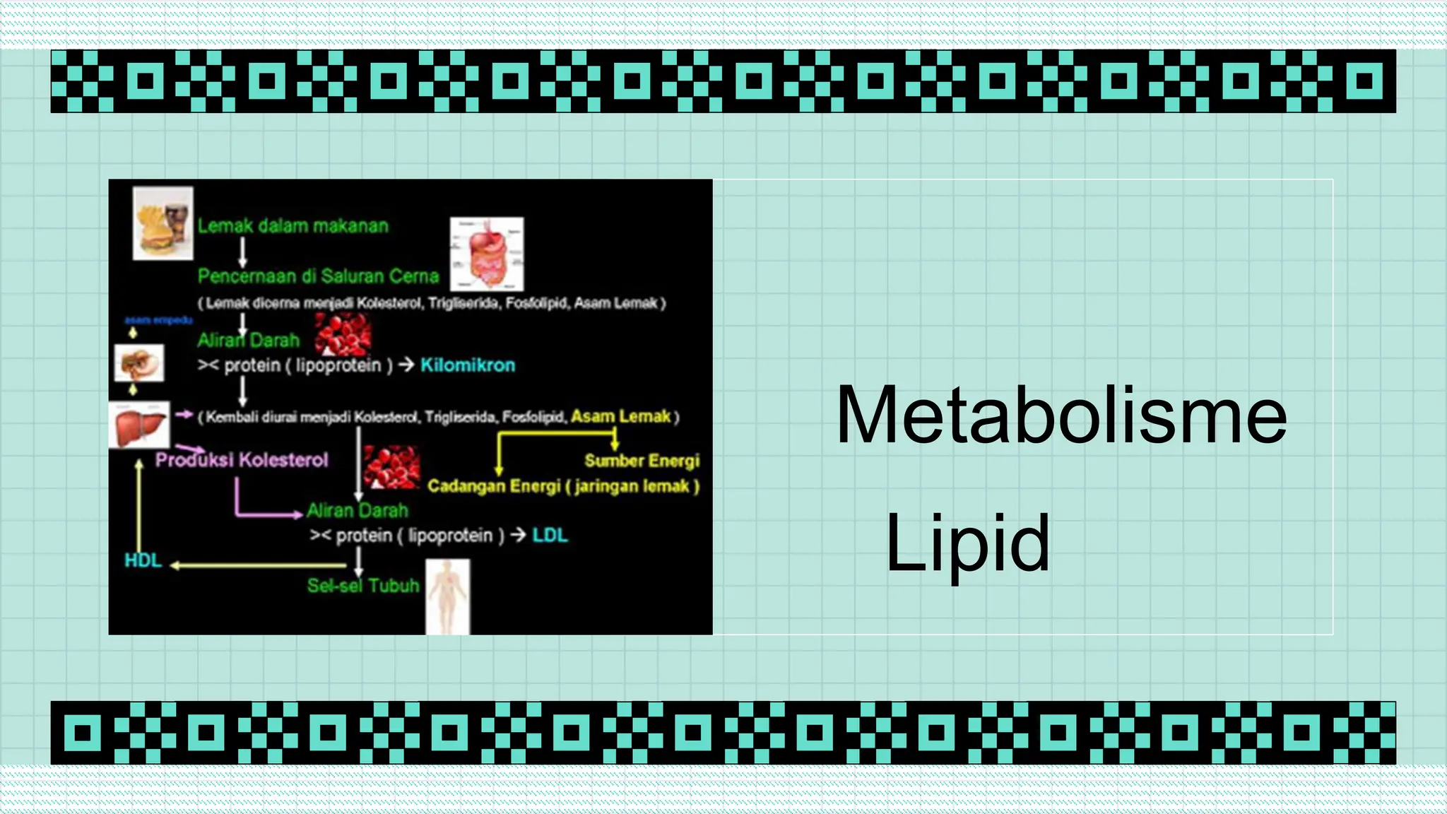 materi ajar metabolisme lipid Kesmas.pptx