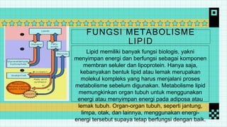 materi ajar metabolisme lipid Kesmas.pptx