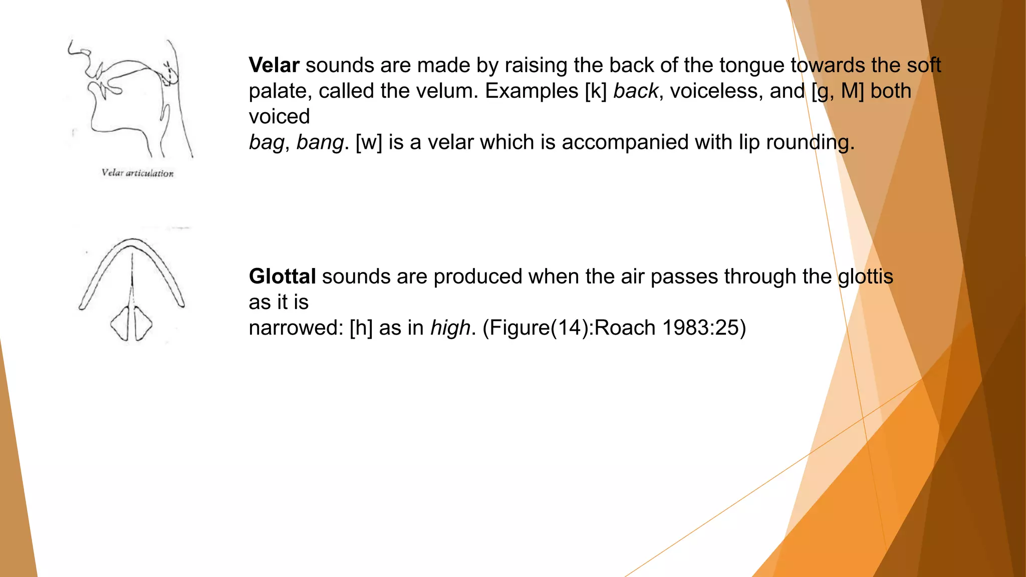 Material 10 phonetic and phonology II | PPTX