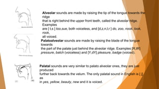 Material 10 phonetic and phonology II | PPT