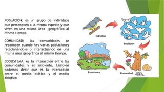 MATERIAL 2do - Nivelacin ECOSISTEMA Y SUSTENTABILIDAD.pptx