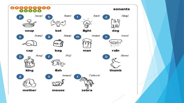 Material 9 phonetic and phonology I | PPT